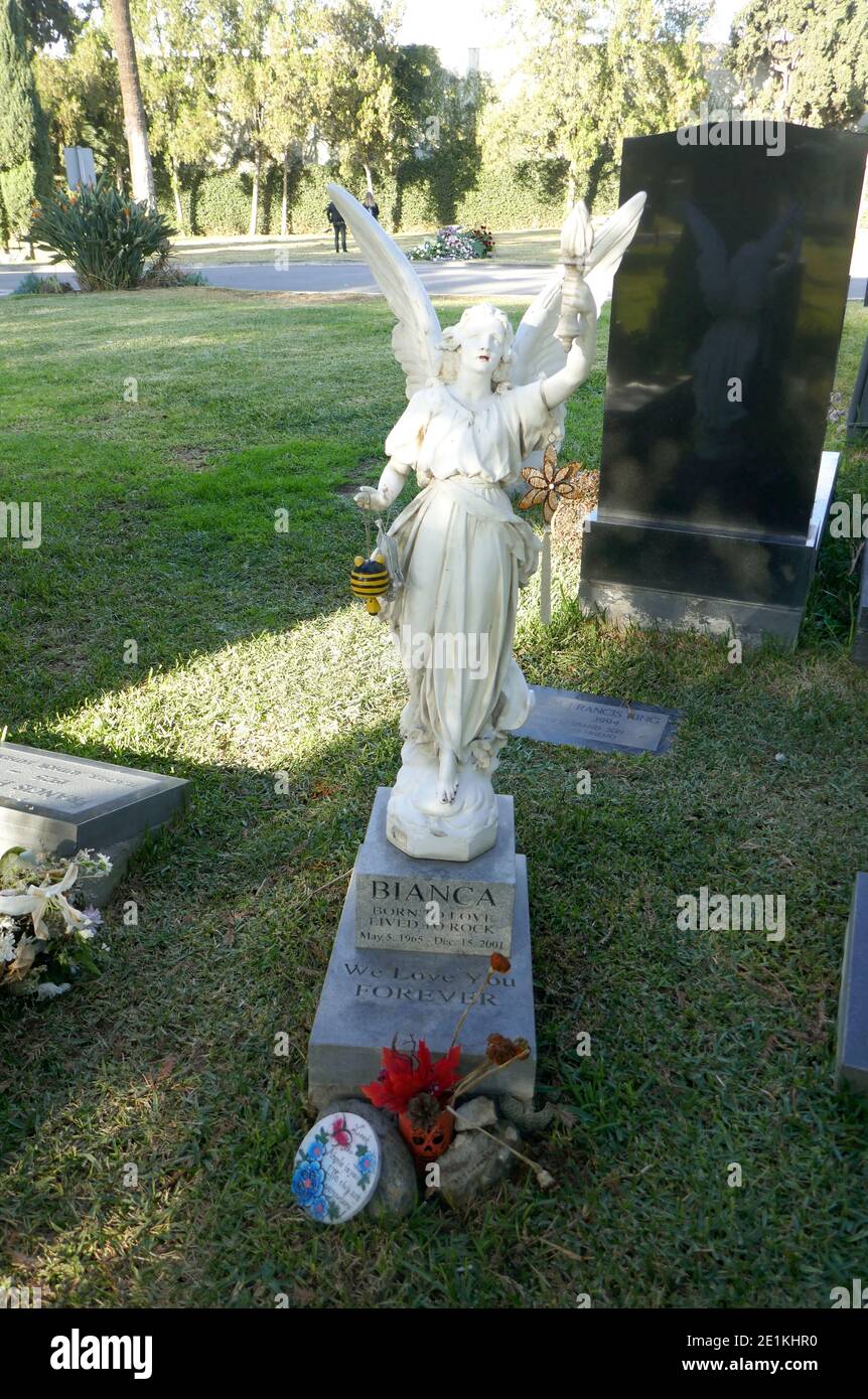 Los Angeles, California, USA 30th December 2020 A general view of ...