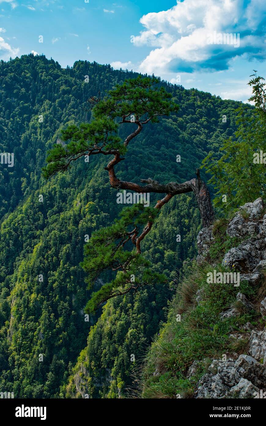 Relict mountain hi-res stock photography and images - Alamy