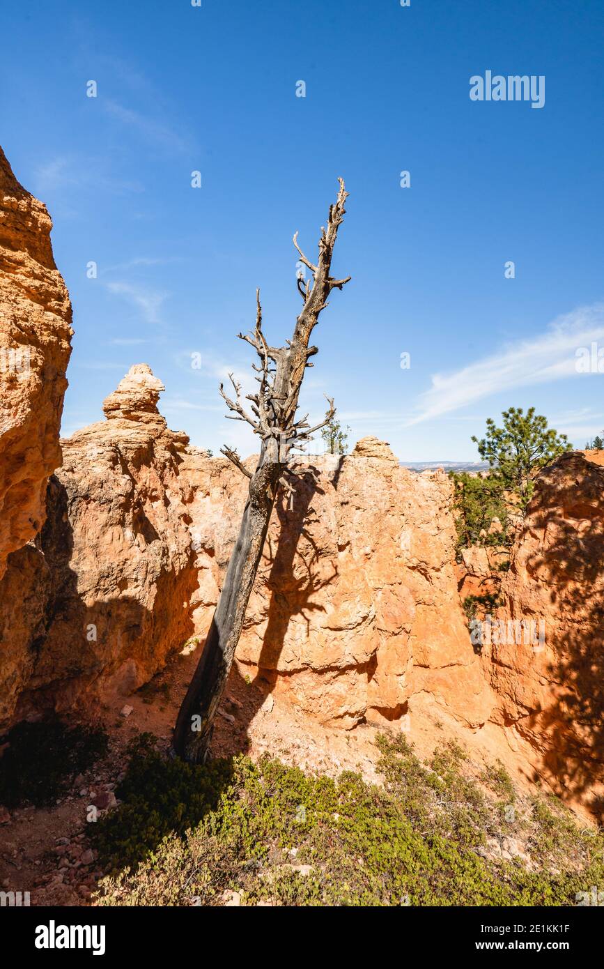 Sandstone spires and arches in Bryce Canyon National Park, Utah Stock ...