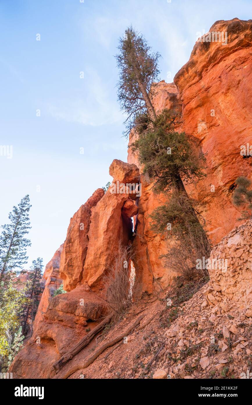 Sandstone spires and arches in Bryce Canyon National Park, Utah Stock ...