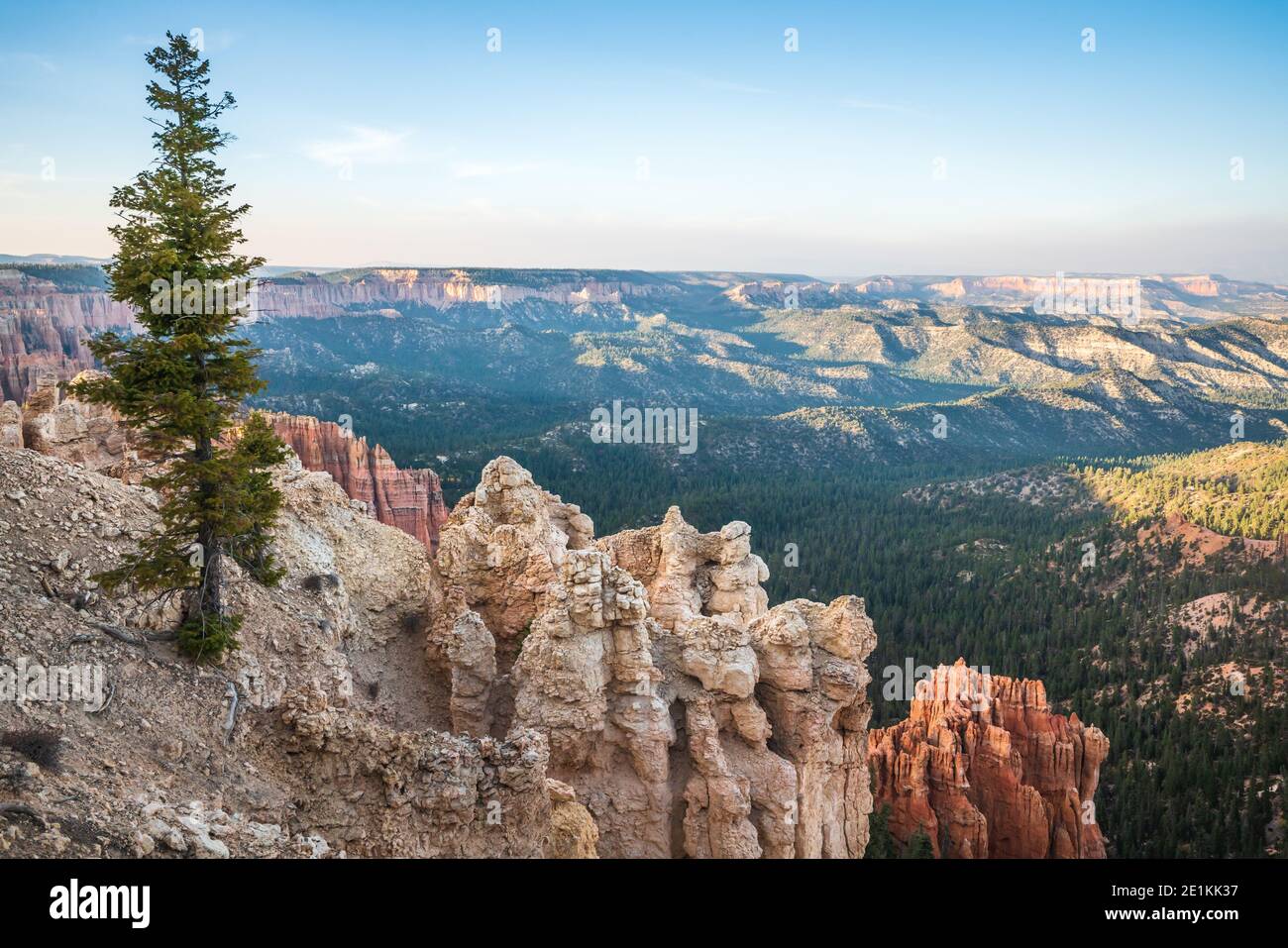 Bryce Canyon National Park amphitheater. Sandstone spires and pine tree ...