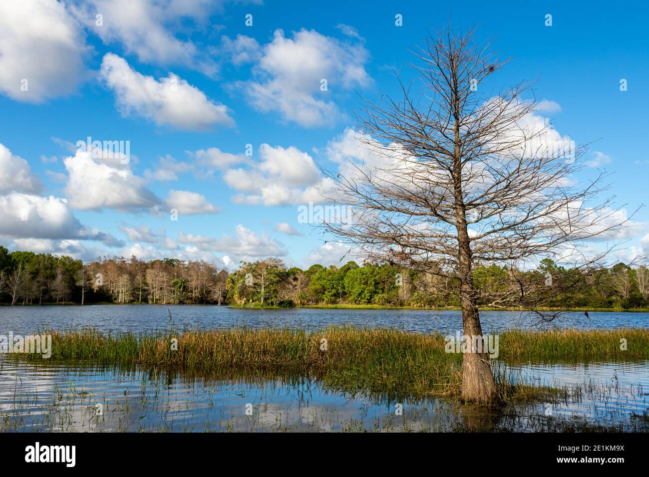 Florida has some amazingly beautiful scenery Stock Photo - Alamy