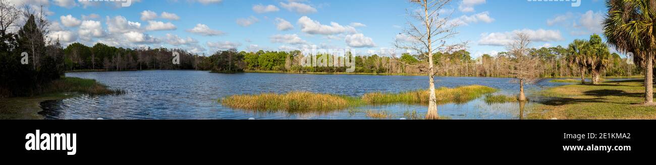 Florida has some amazingly beautiful scenery Stock Photo - Alamy