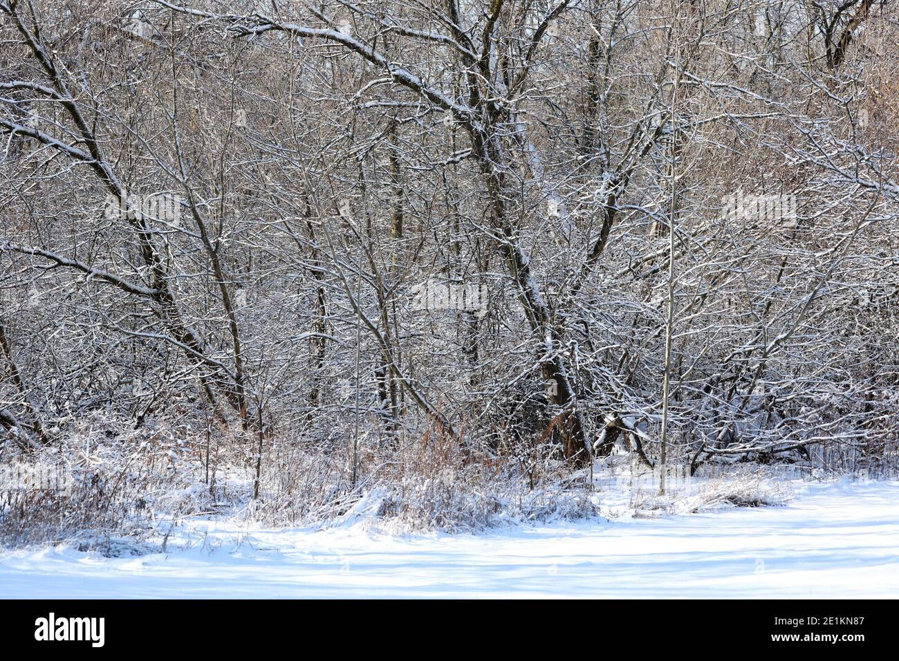 Winter wonderland after snowfall Stock Photo - Alamy