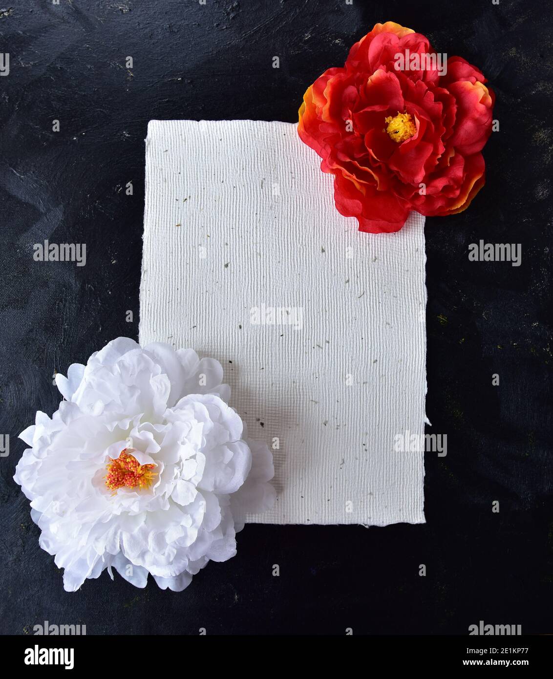 Red peony frame hi-res stock photography and images - Alamy