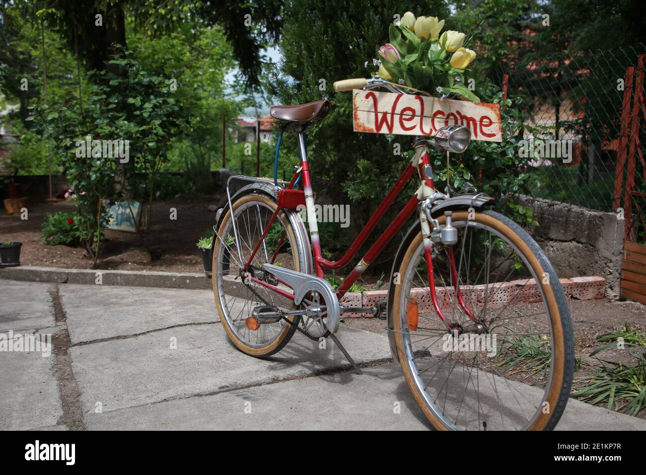 Bicycle as a welcome decoration with flowers. Wedding concept Stock ...