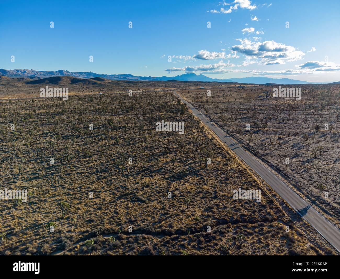 Joshua tree scenic road hi-res stock photography and images - Alamy