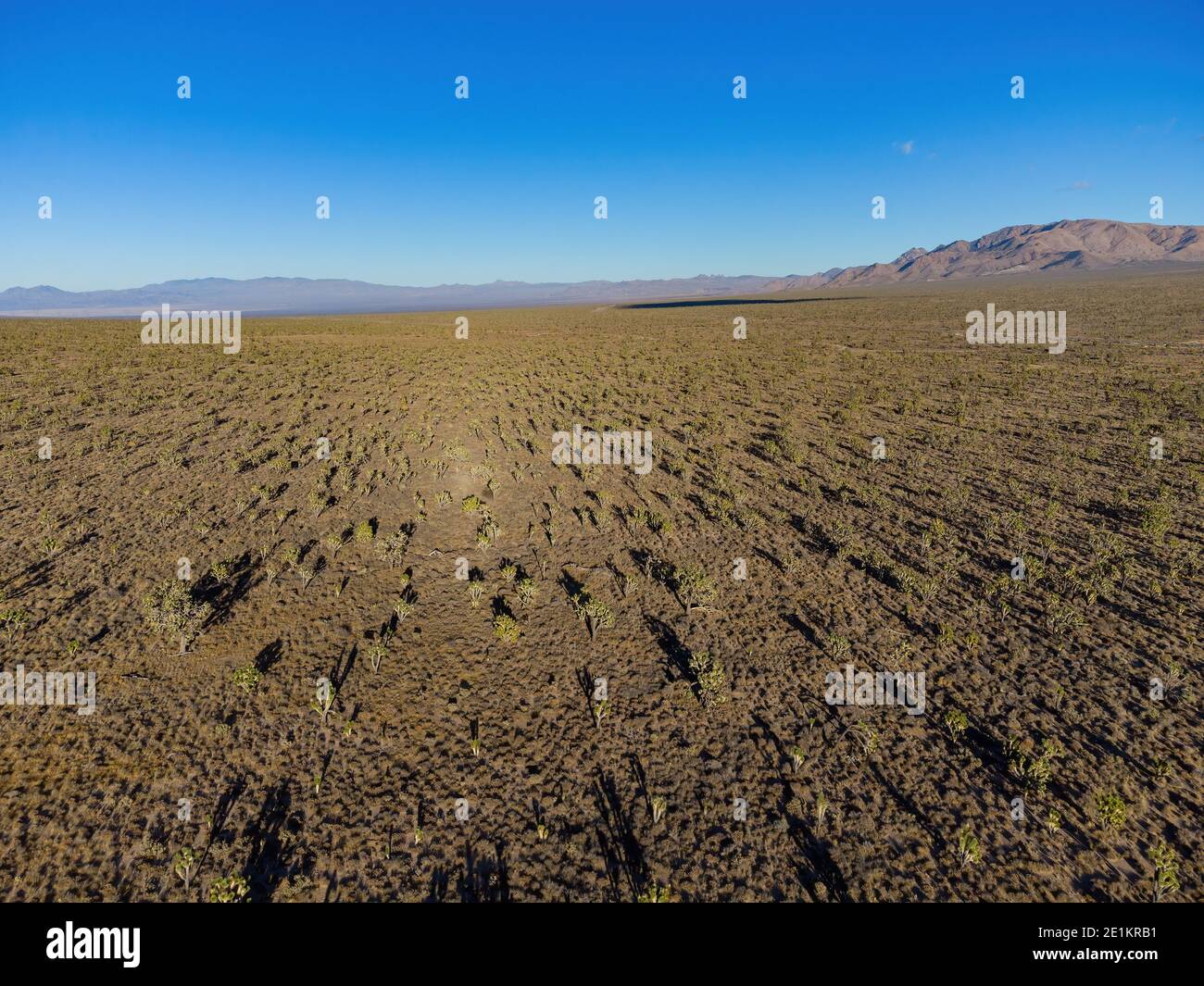 Aerial view joshua tree preserve hi-res stock photography and images ...