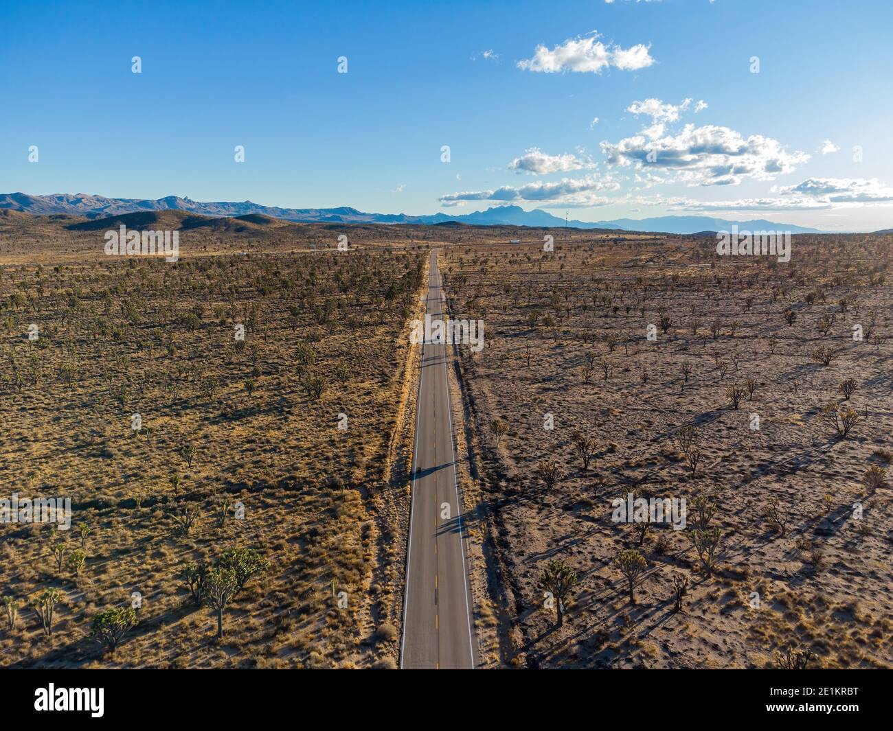 Aerial view joshua tree preserve hi-res stock photography and images ...