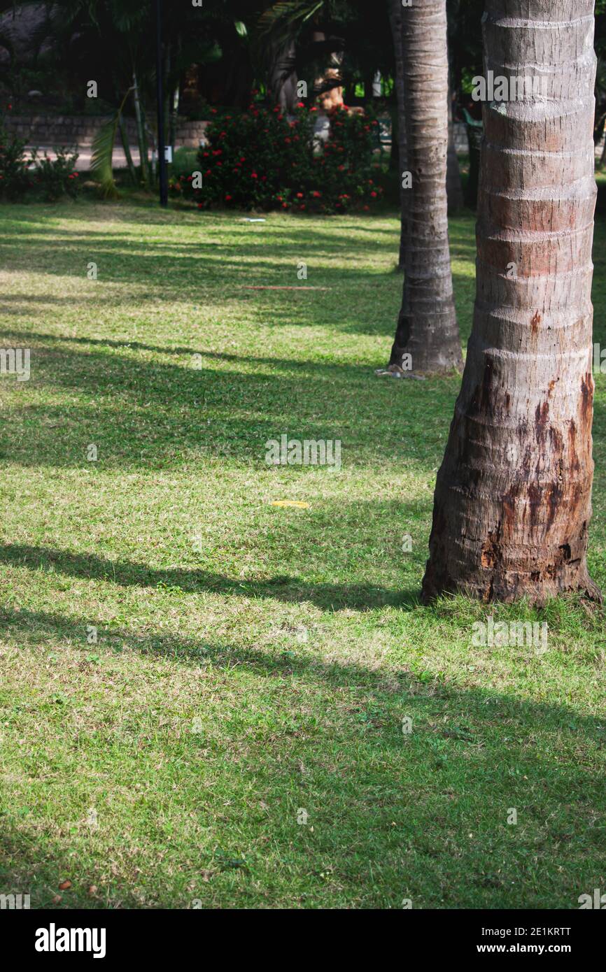 Beautiful lawn for recreation activities. Landscaped grass area in a ...