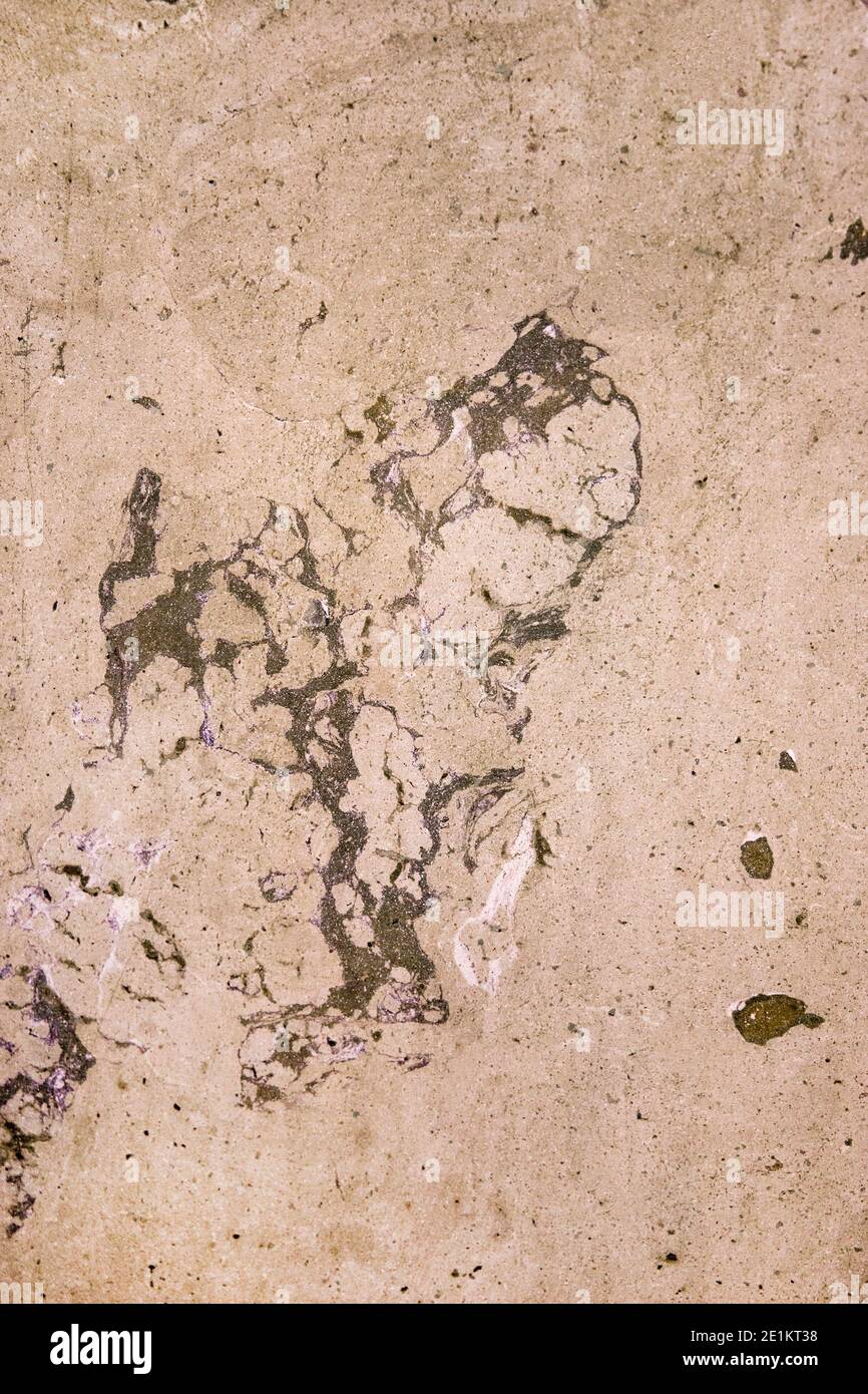 Beautiful ancient Greek and Rome marble texture background Stock Photo ...