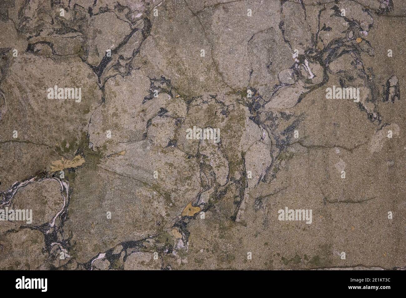 Beautiful ancient Greek and Rome marble texture background Stock Photo ...