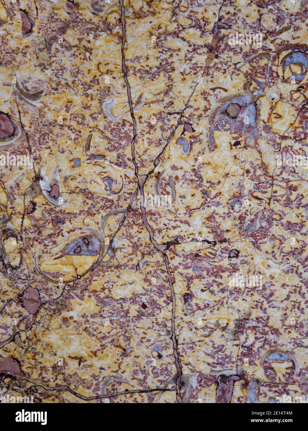 Beautiful ancient Greek and Rome marble texture background Stock Photo ...