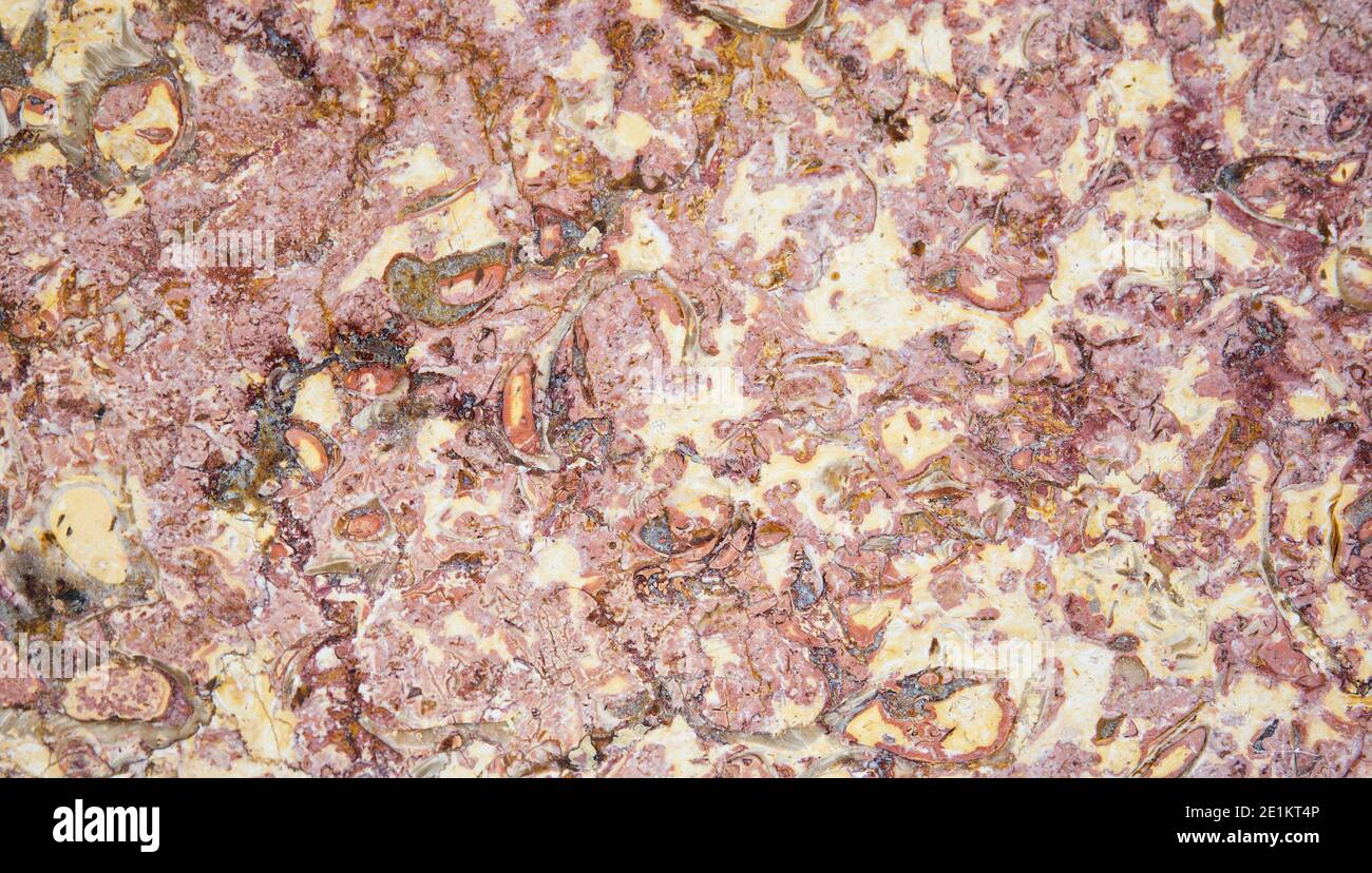 Beautiful ancient Greek and Rome marble texture background Stock Photo ...