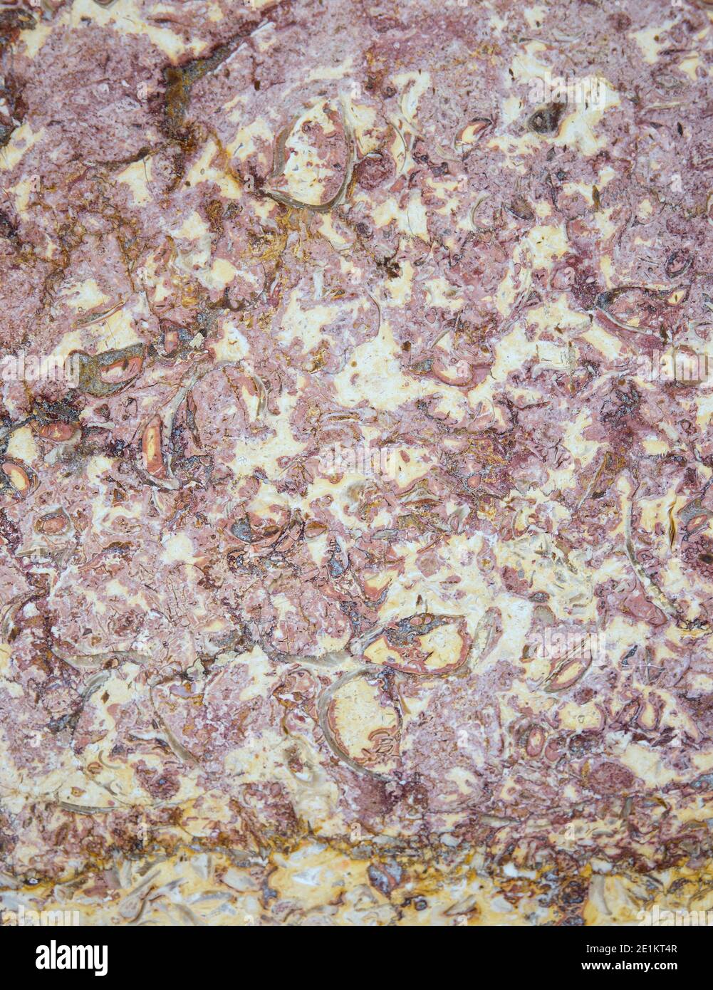 Beautiful ancient Greek and Rome marble texture background Stock Photo ...