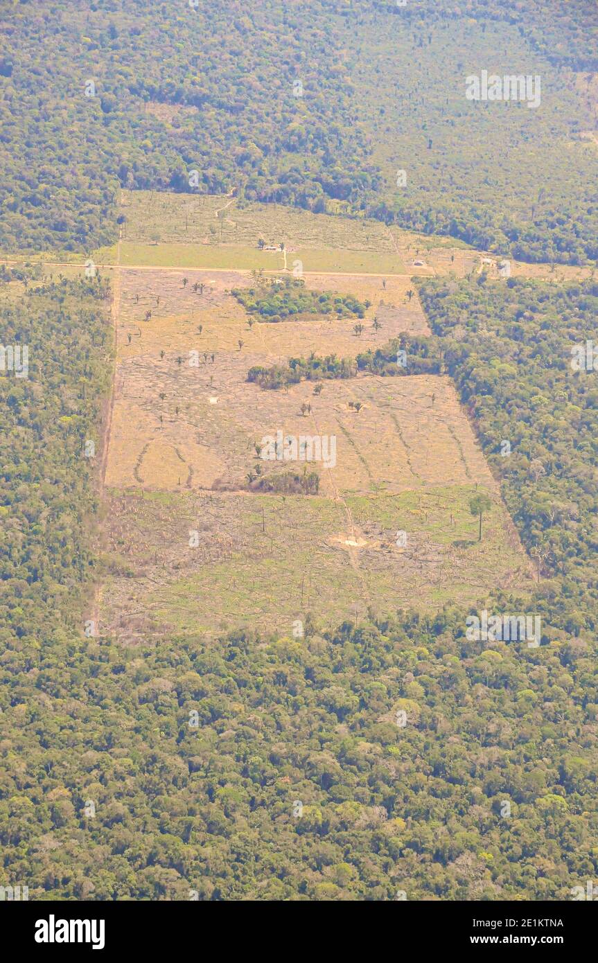 Aerial view of the Brazilian Amazonian Rain Forest showing areas of ...