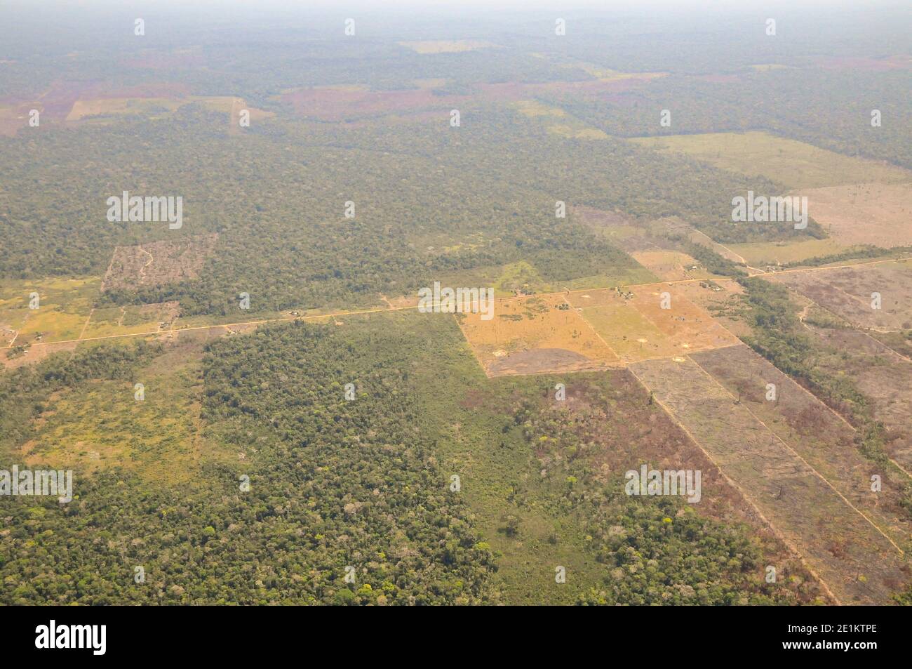 Aerial view of the Brazilian Amazonian Rain Forest showing areas of ...