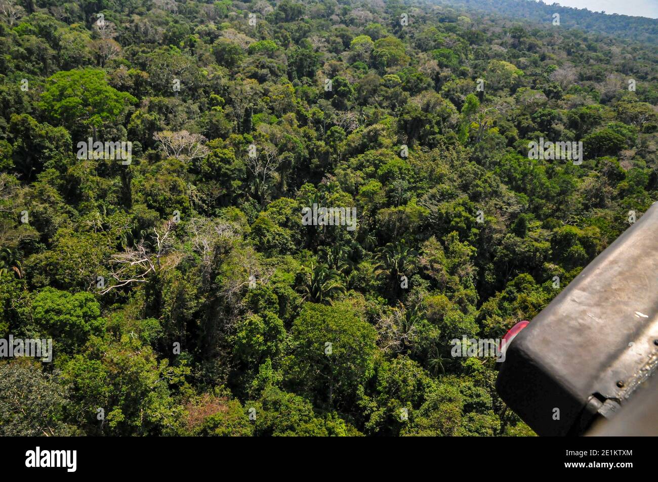Amazon rainforest birds eye view hi-res stock photography and images ...