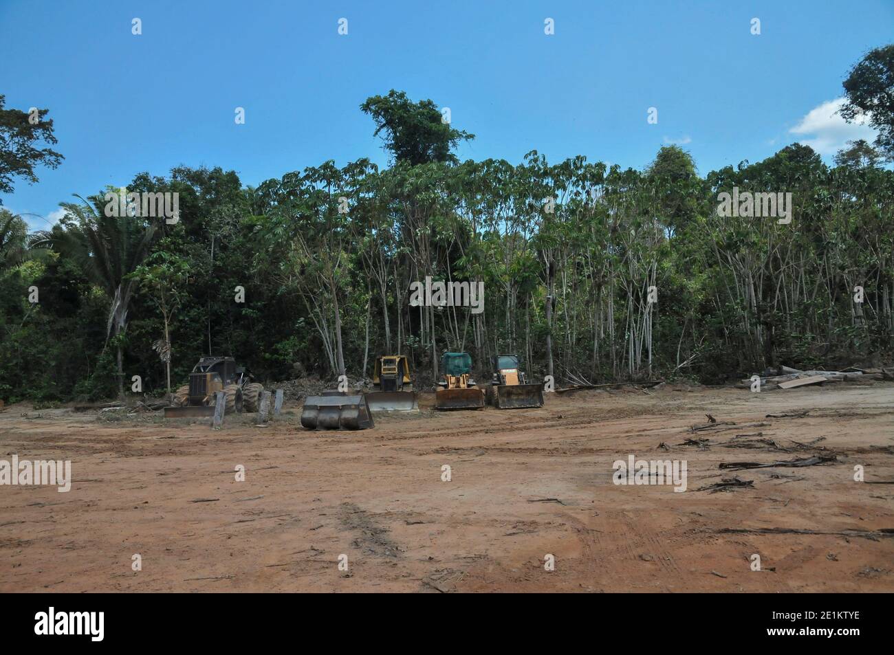 The effects of deforestation on the Amazonian rainforest in Brazil ...