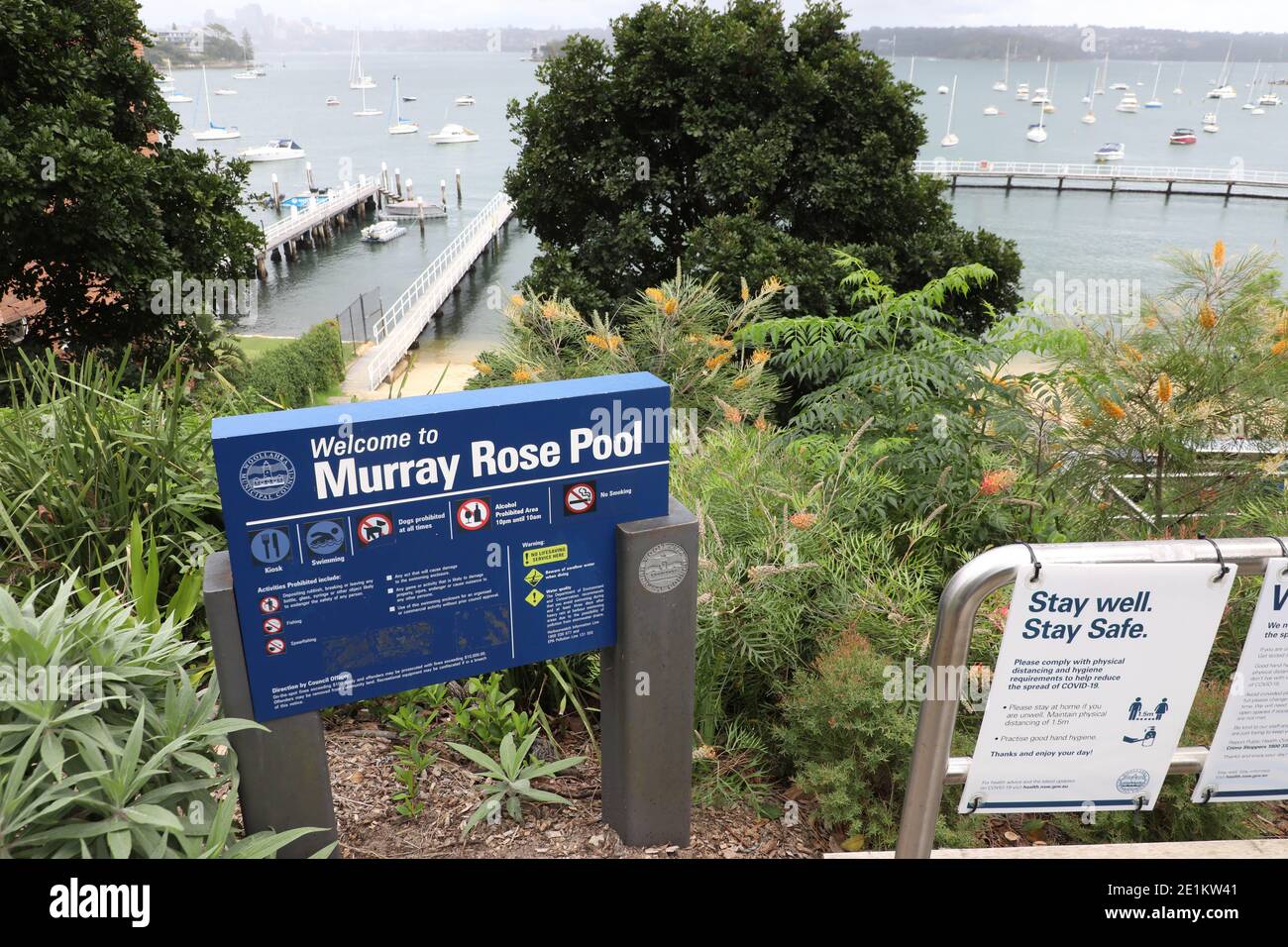 Murray rose pool sydney hi-res stock photography and images - Alamy