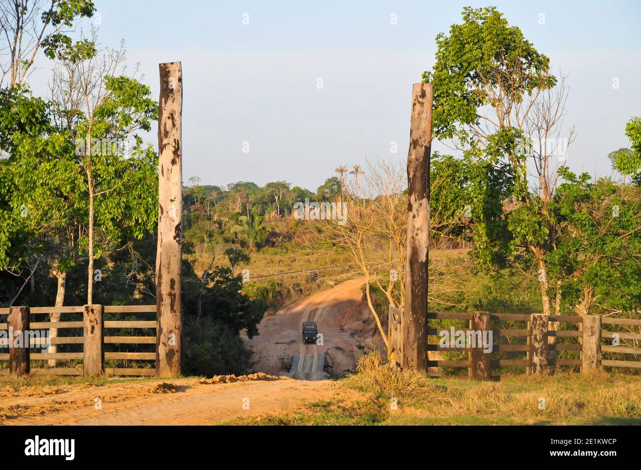 Deforestation on farm cattle hi-res stock photography and images - Alamy