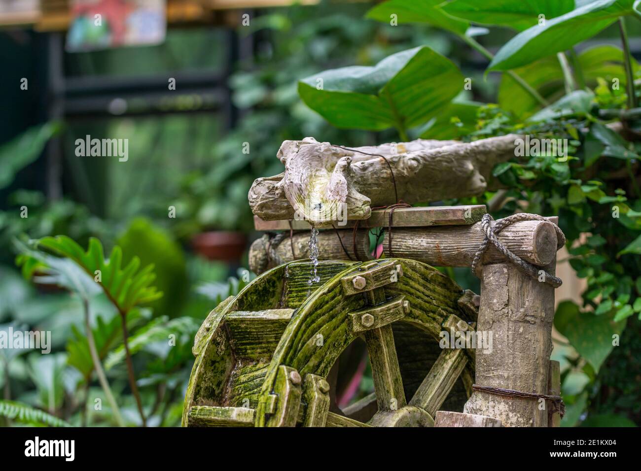 Chinese Garden Fountain