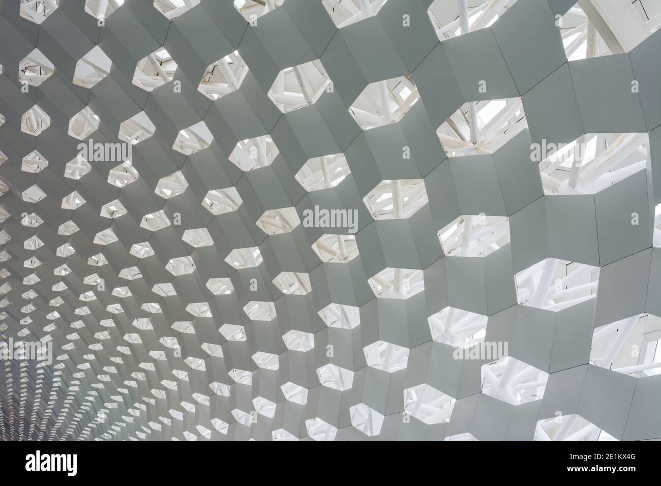 Hexagonal steel roof structure in row of Shenzhen airport terminal ...