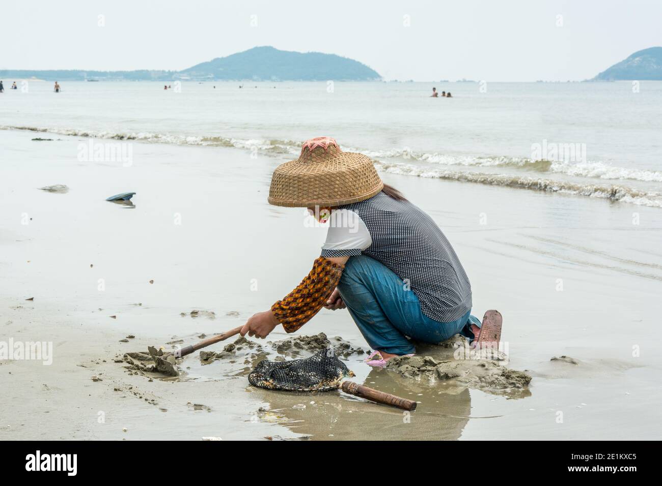 A Chinese fish woman digging clams with a hoe at the beach Stock Photo ...