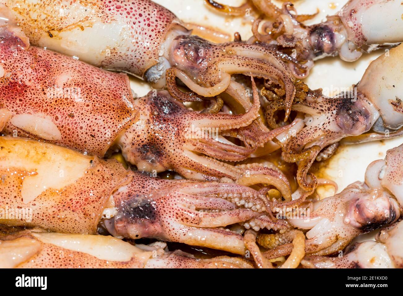 Deep fried squids hi-res stock photography and images - Alamy