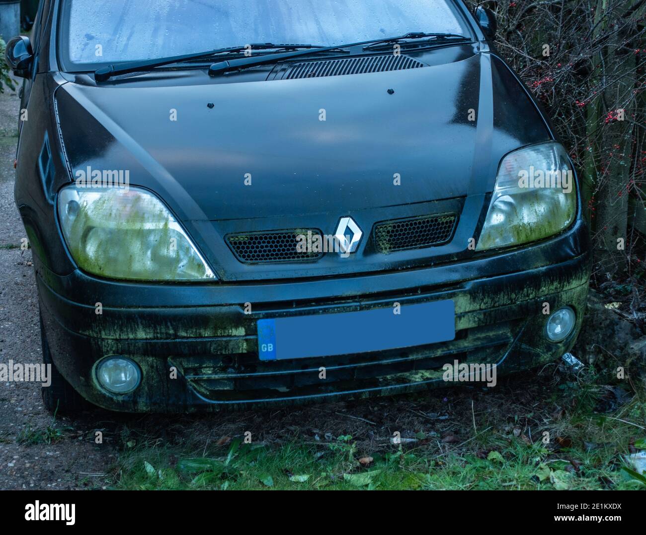 mold on neglected car front Stock Photo - Alamy