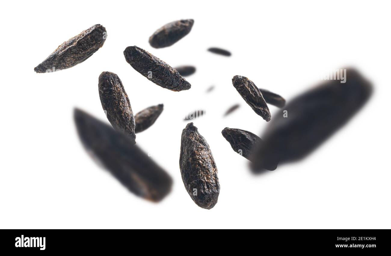 Roasted rye malt grains levitate on a white background Stock Photo - Alamy