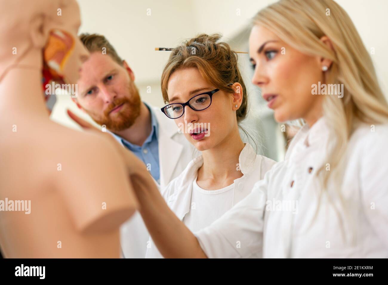 Students of medicine examining anatomical model in classroom Stock ...