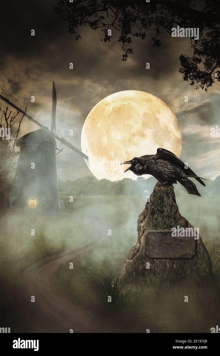 Raven the road against the background of the full moon Stock Photo - Alamy