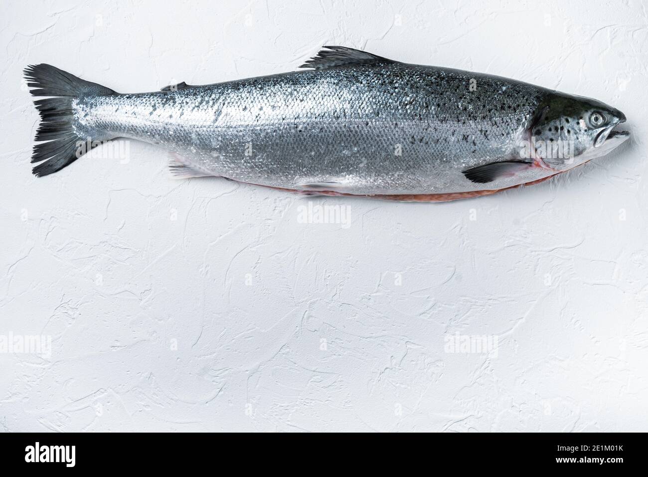Fresh whole salmon on white background, top view with copy space Stock ...