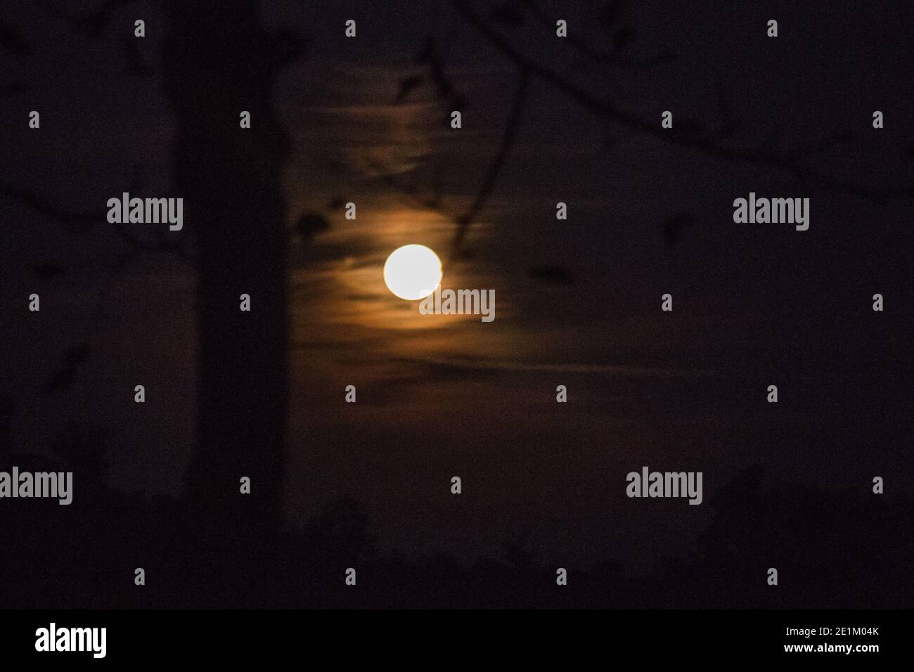 Halloween day moon Stock Photo - Alamy