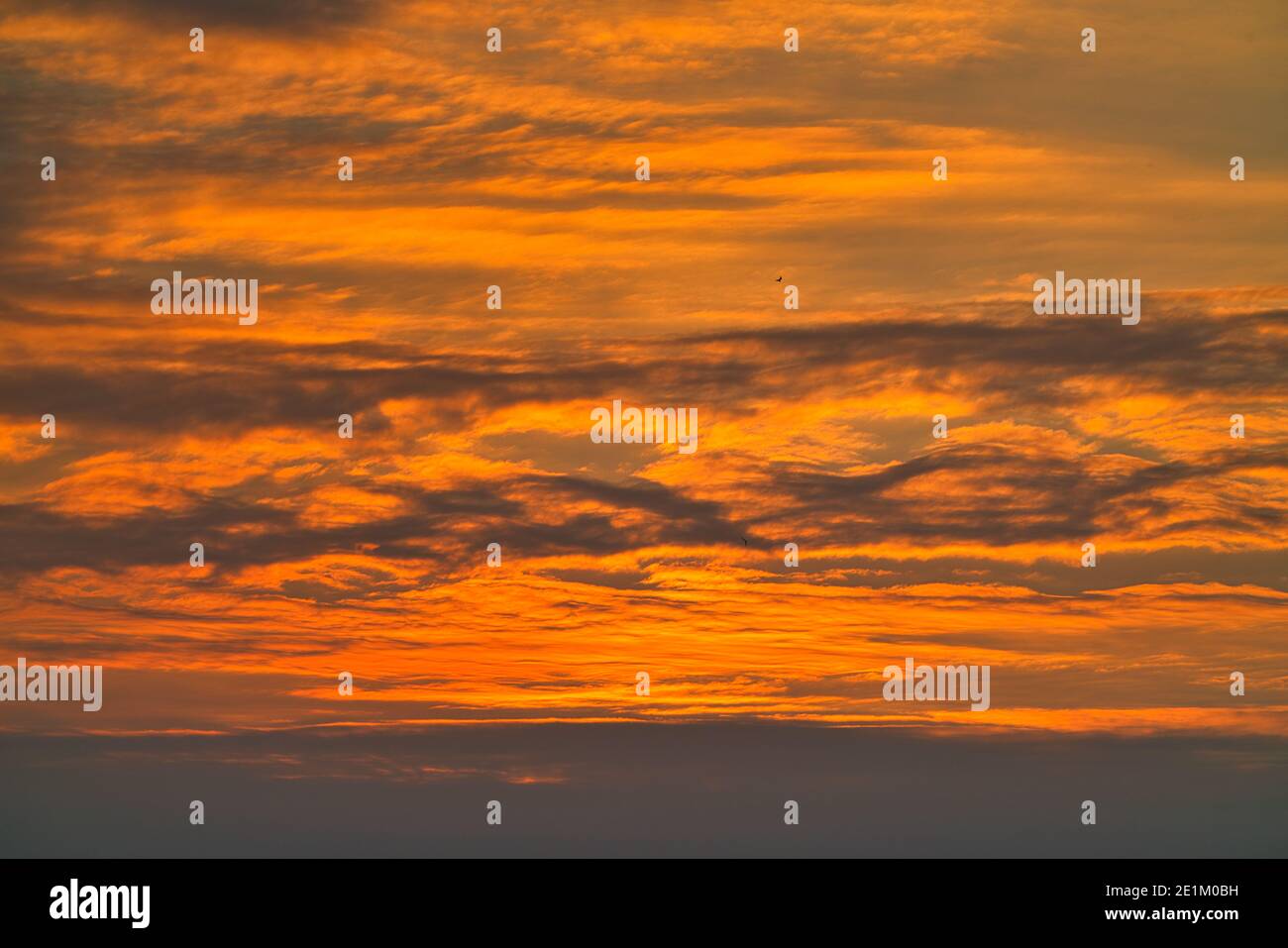 Sunset sky and clouds. Fantastic landscape with sunset. This texture is ...