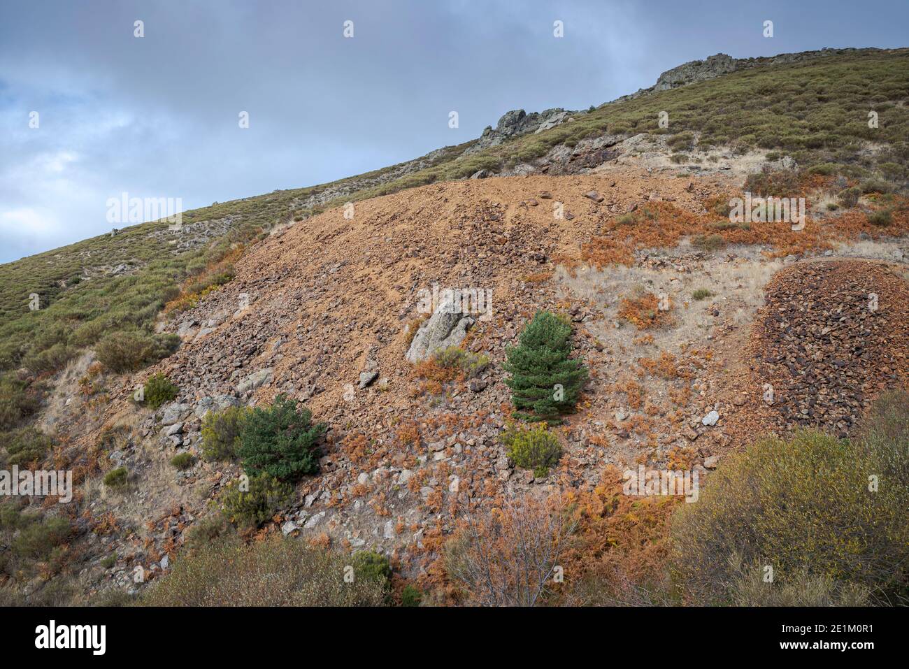 17th century mining hi-res stock photography and images - Alamy
