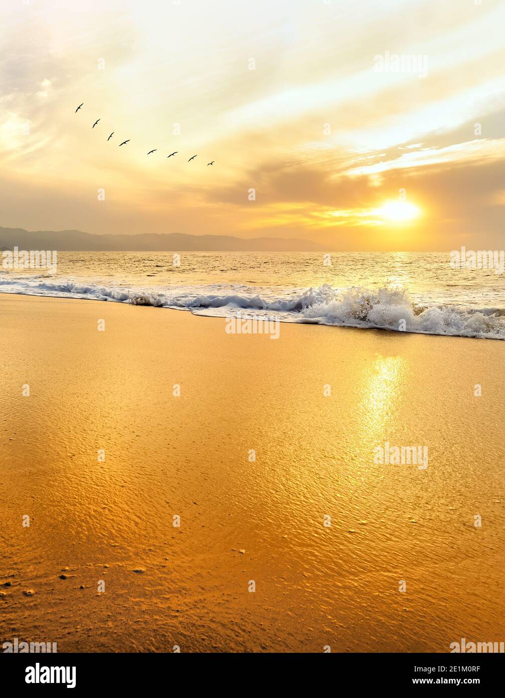 A Vertical Image of a Flock of Birds Flying in Formation As The Golden ...