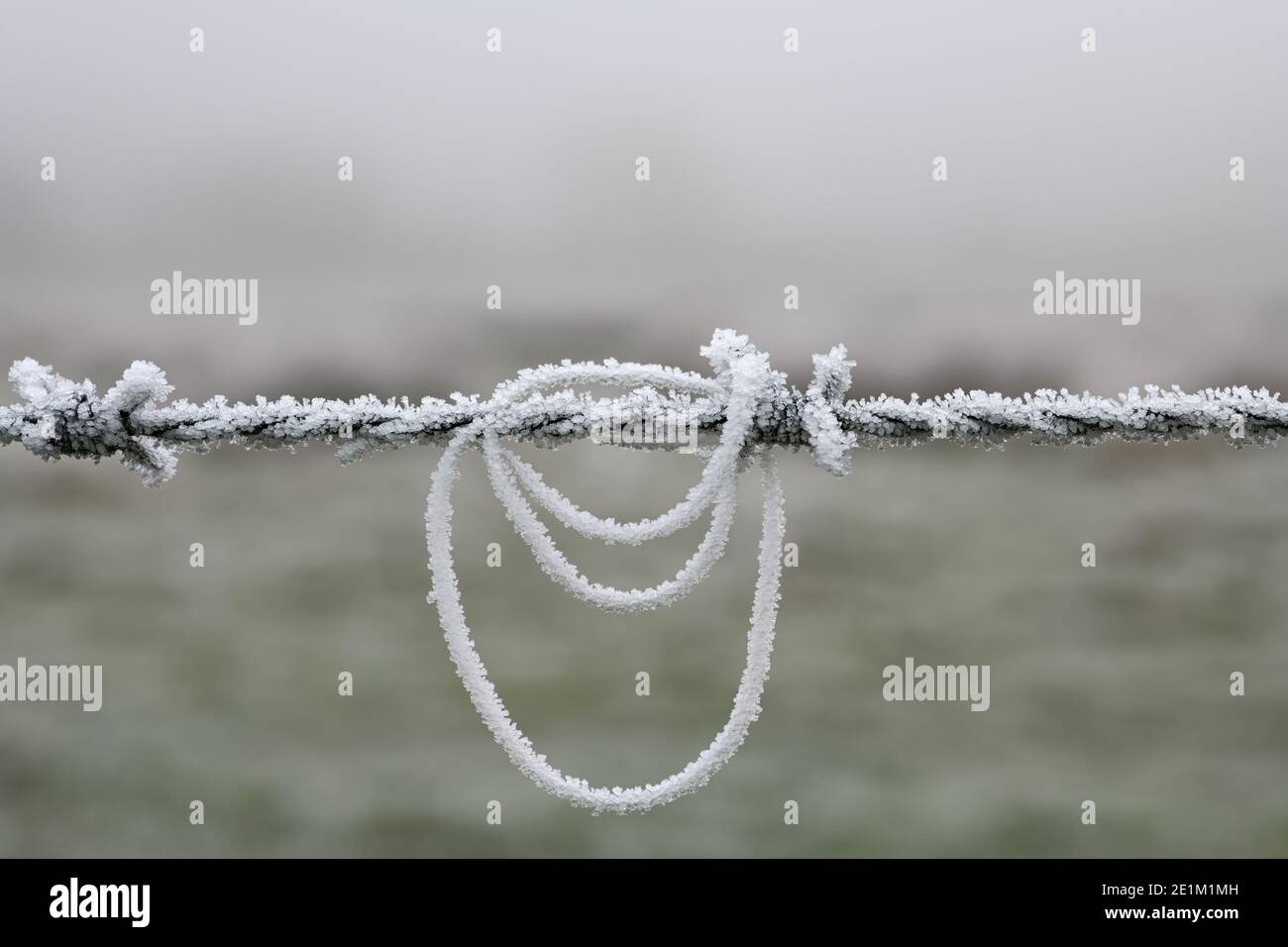 Frosty barbed wire fence abstract Stock Photo - Alamy
