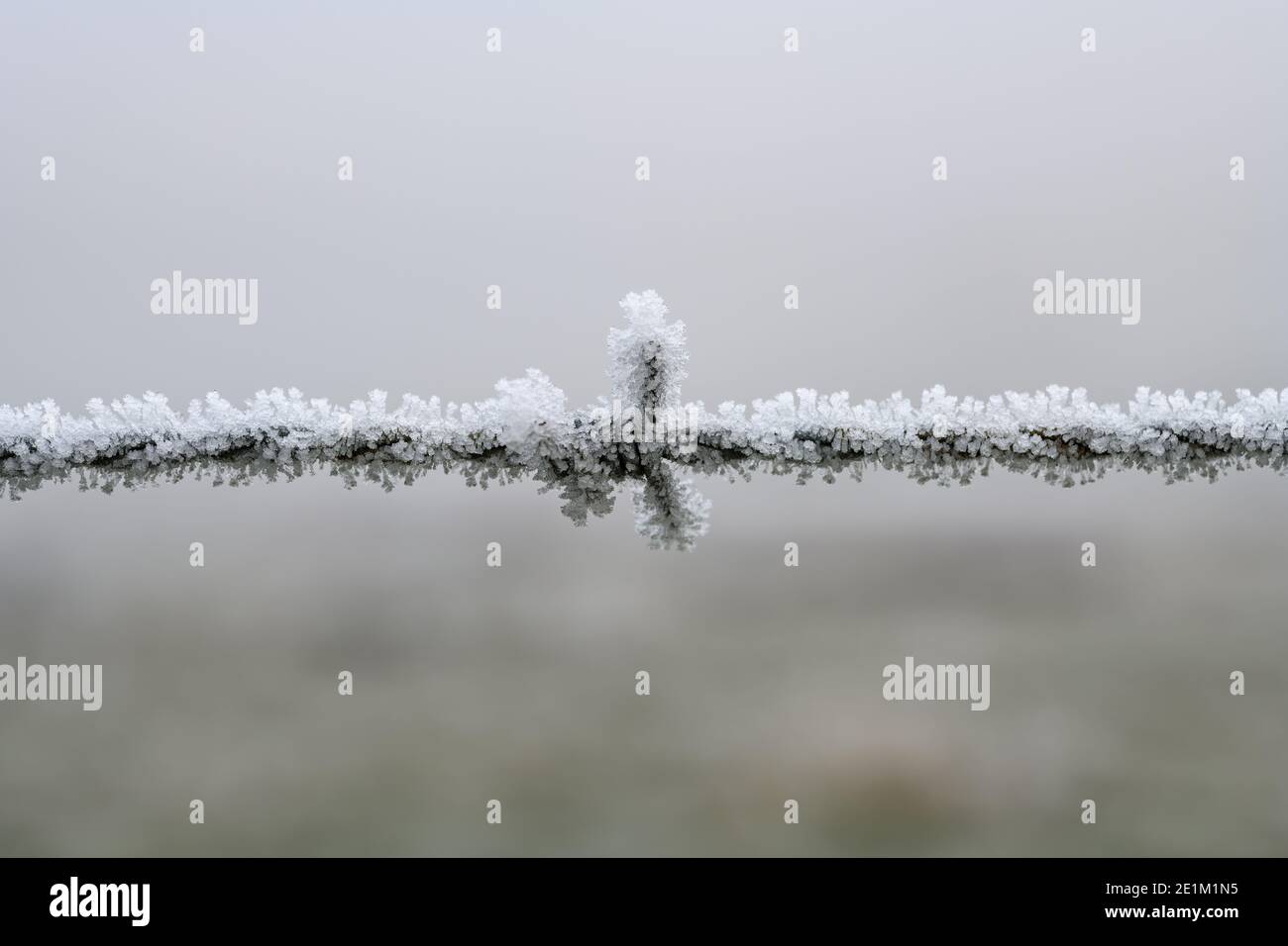 Frosty barbed wire fence abstract Stock Photo - Alamy