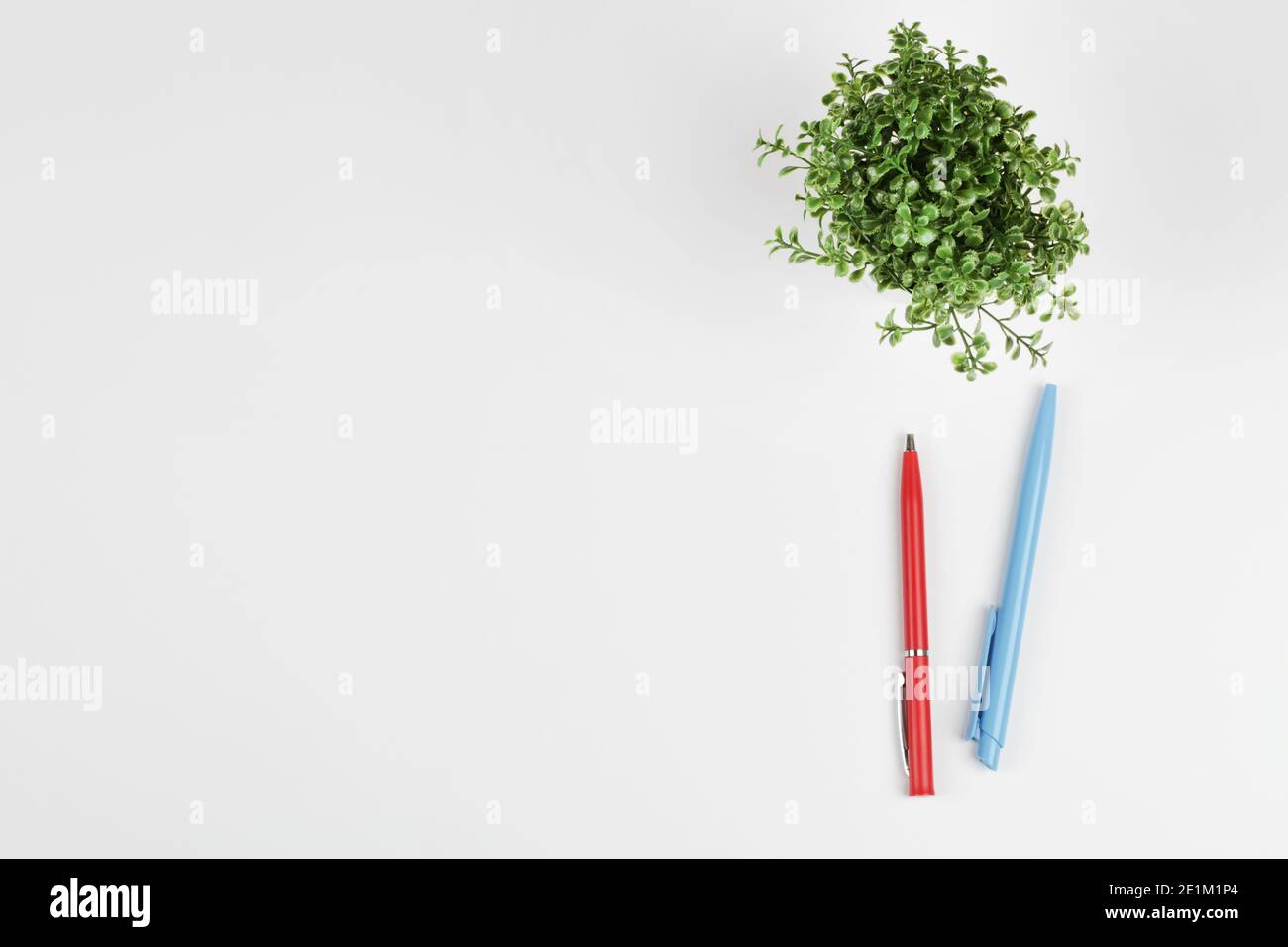 Working table with flower and red , blue pens. Top view. flat lay copy ...