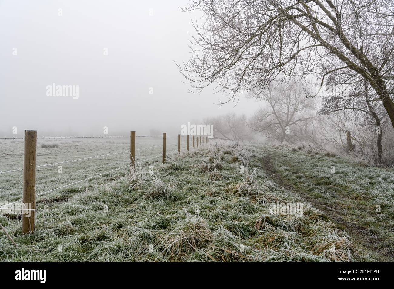Frost and fog landscape in the English countryside Stock Photo - Alamy