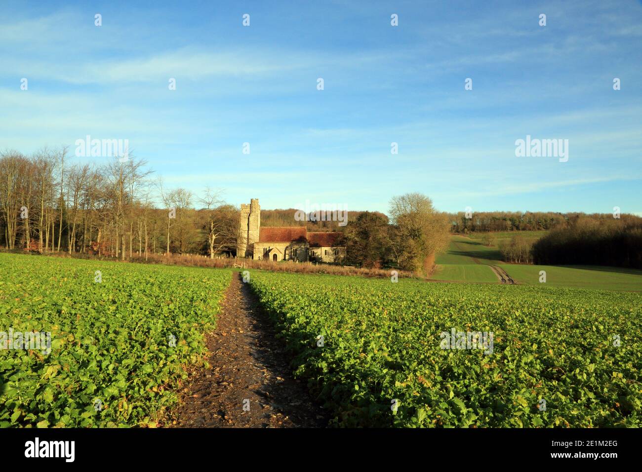 Winter view across fields to Saint Cosmos and Saint Damian church ...