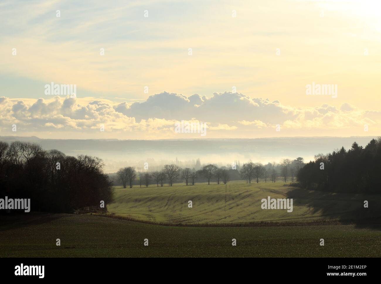 Winter view towards Ashford across the fields and Eastwell Park from ...