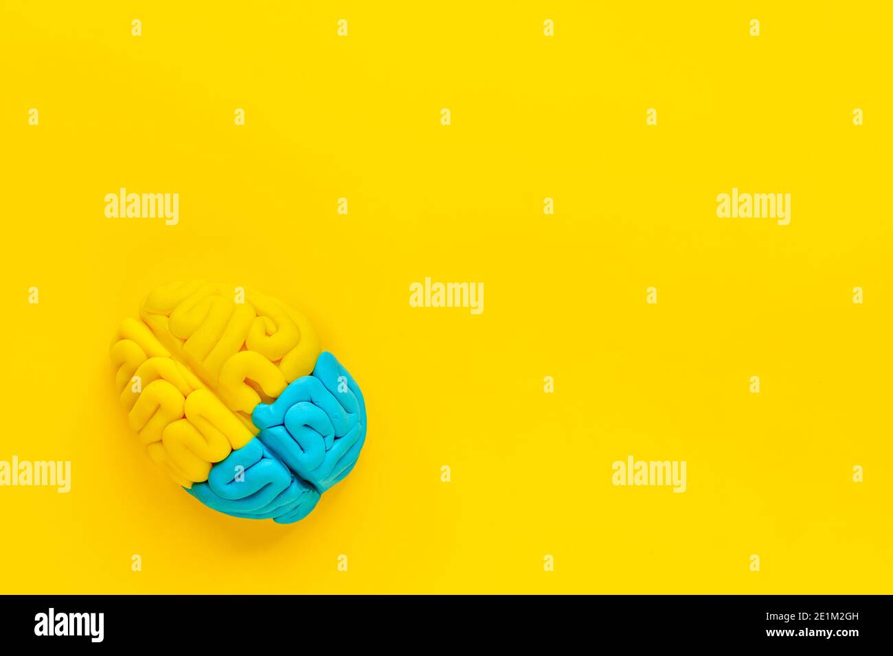 Top view of human brain made of clay. Mental health concept Stock Photo ...