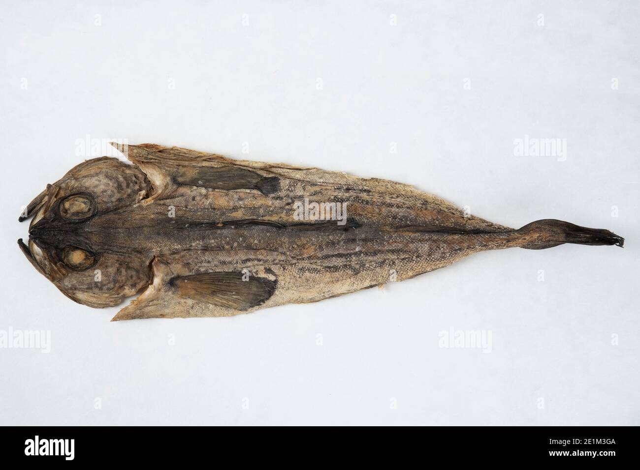 Korean dried fish pollack, Hwangtae Stock Photo - Alamy