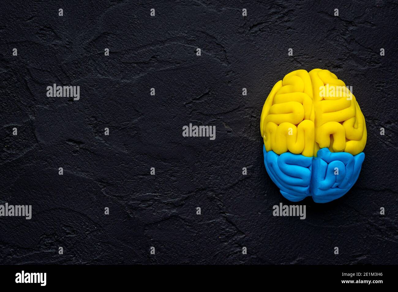 Top view of human brain made of clay. Mental health concept Stock Photo ...