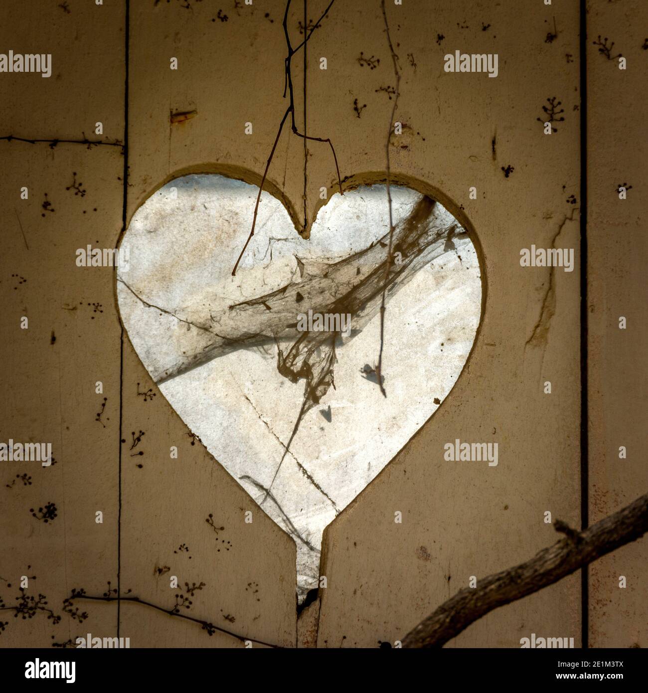 Heart-shaped cutout in a rustic wooden wall surrounded by vines and ...
