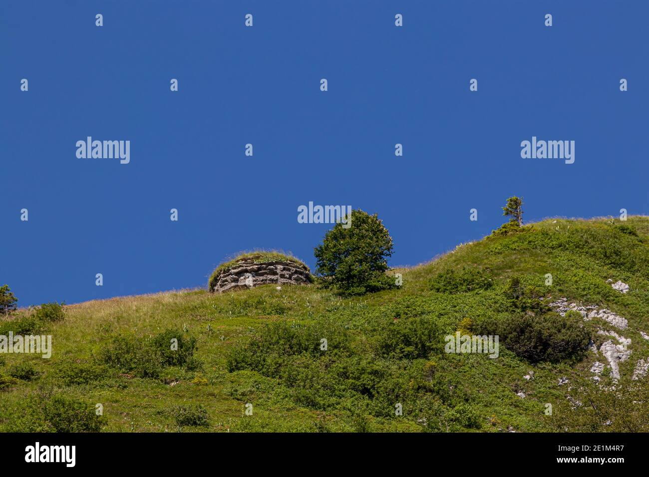 bunker from 1 world war, with grass on top Stock Photo - Alamy