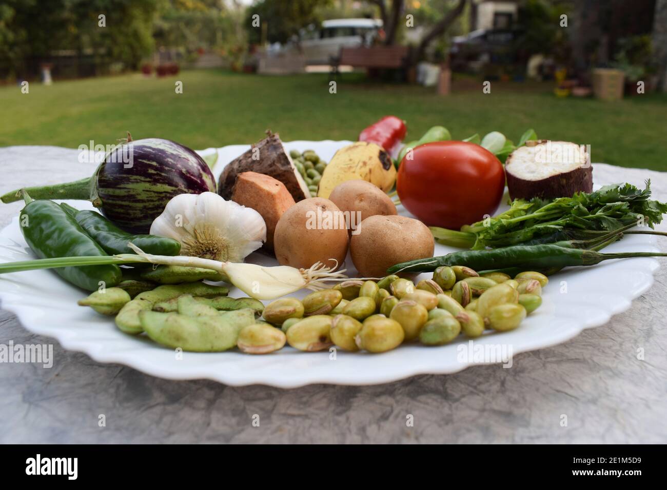 Uttarayan hi-res stock photography and images - Alamy